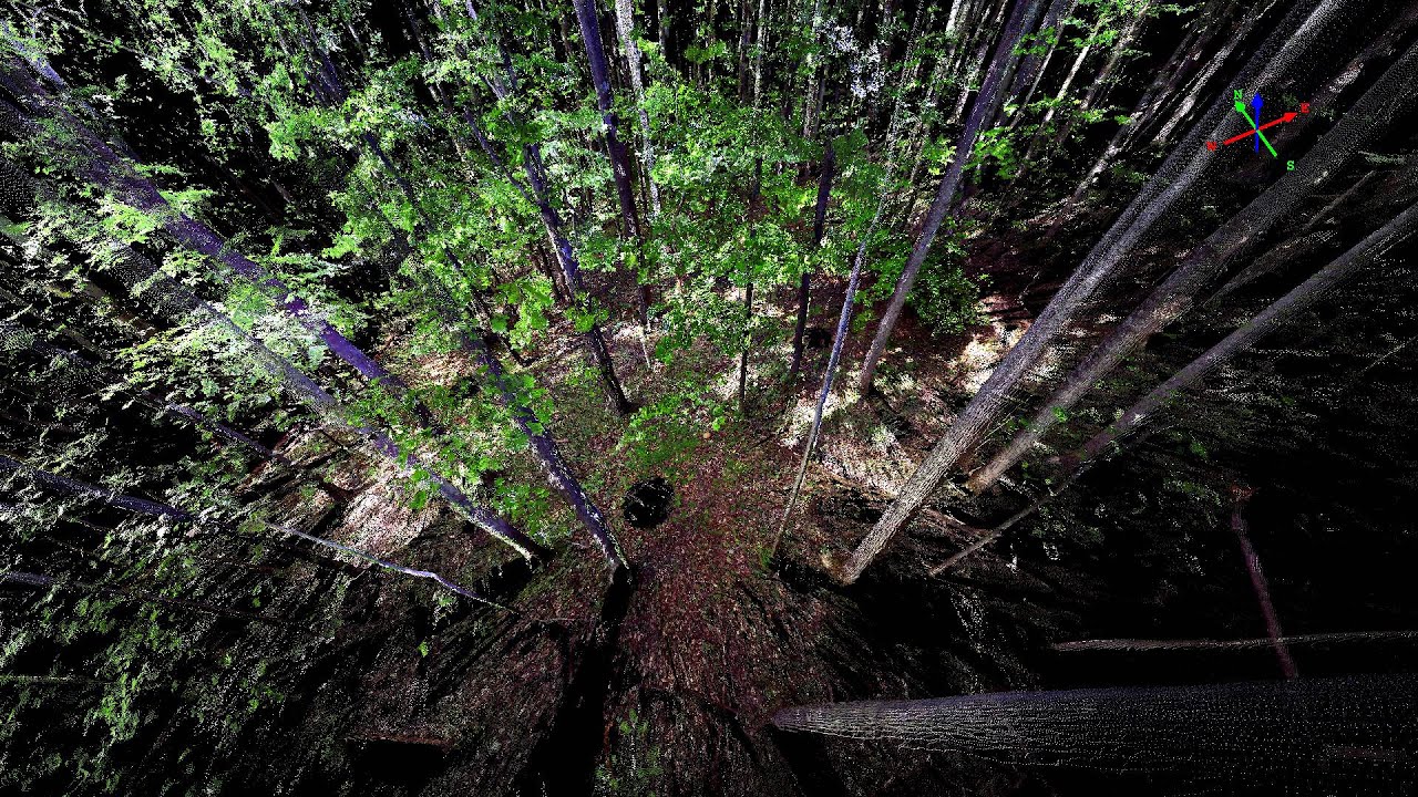 Terrestrial LiDAR in a Virginia Mixed Hardwood Forest