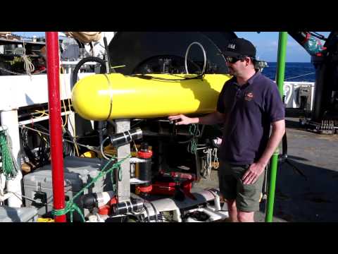 Field Update: Surveying Bottomfish in Hawaii