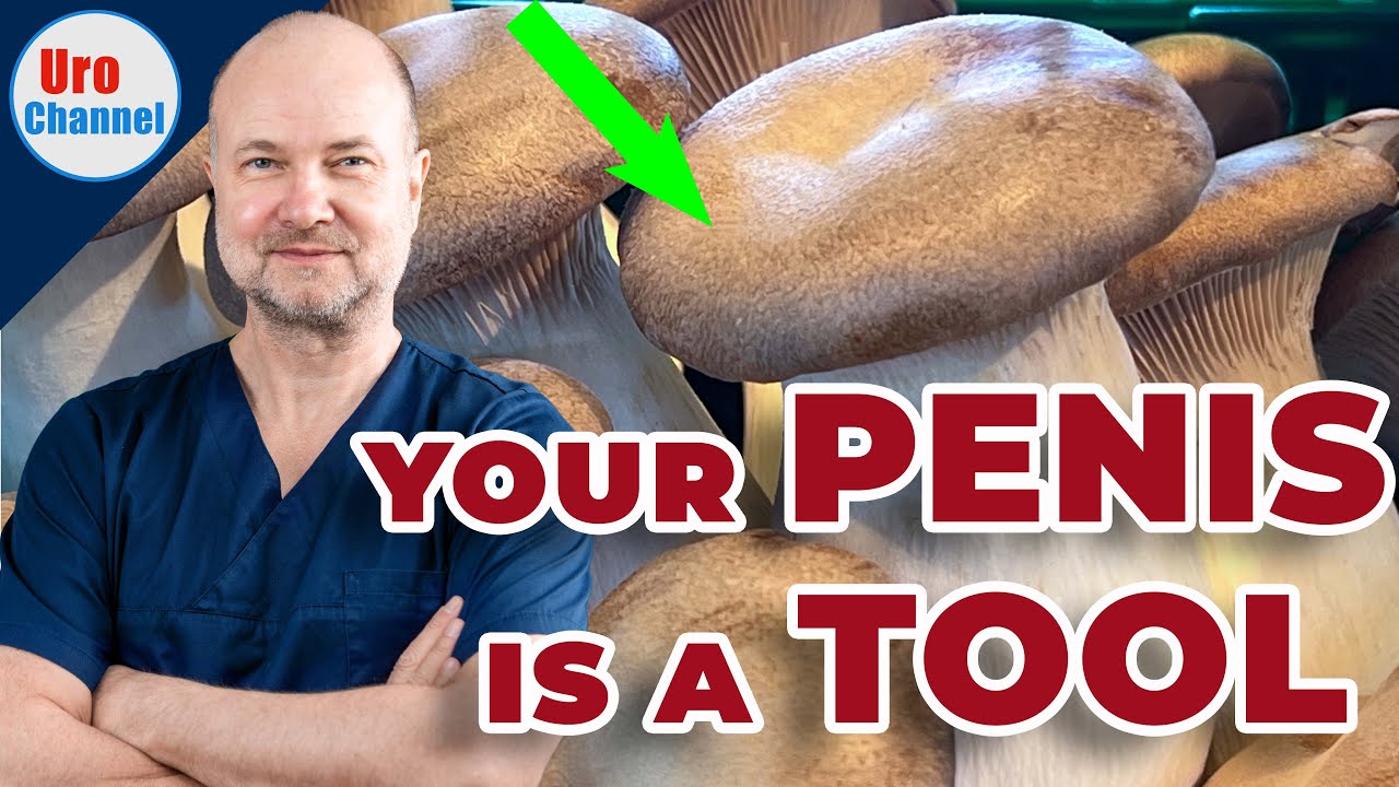 Why is the penis mushroom shaped? | UroChannel