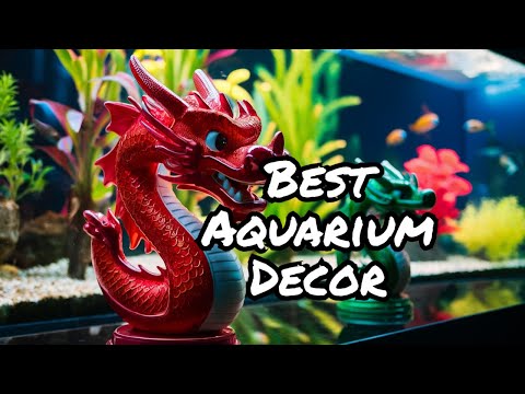 The BEST Aquarium Decorations Revealed!