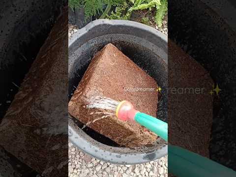 How to use Cocopeat block