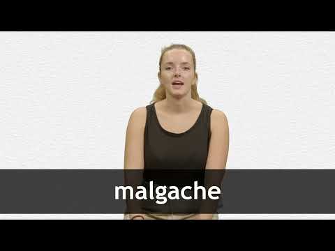 How to pronounce MALGACHE in French