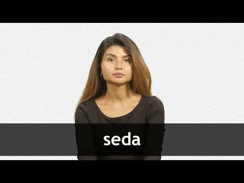 English Translation of “SEDA” | Collins Spanish-English Dictionary