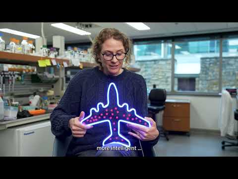 What is TN-seq? How Stowers researchers used this approach in deadly fungal infection study
