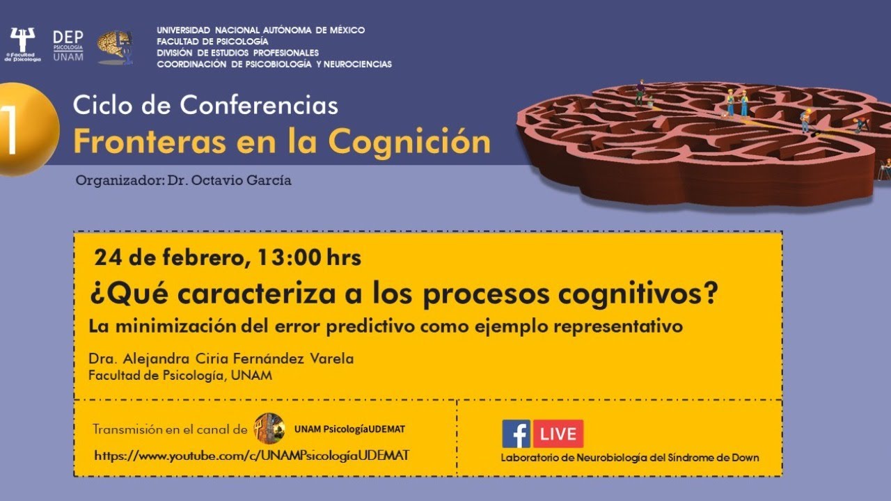 ¿Qué caracteriza a los procesos cognitivos?