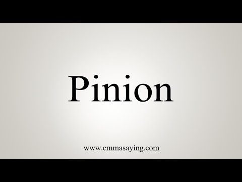 How To Say Pinion