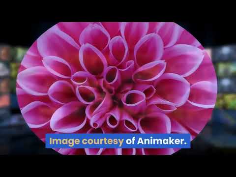 What's the best animation software for free?