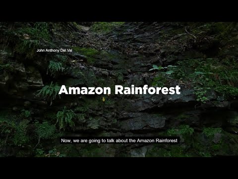 "The Fires of Amazon: A Take on the Burning of the Amazon Rainforest"