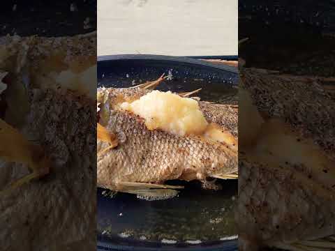 SASHIMI & FRIED FISH IN OKINAWA #youtubeshorts #shorts #okinawa #japan #simplelife #sashimi #fish