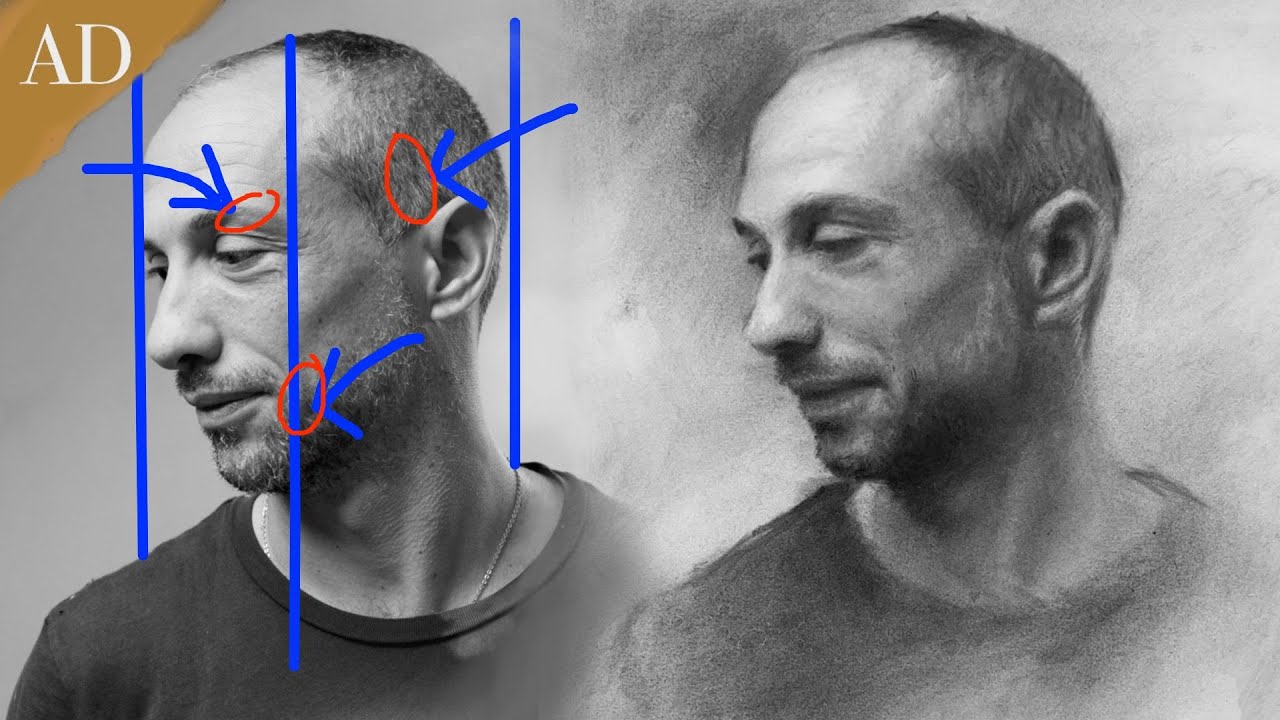 Draw PERFECT proportions charcoal portraits in 3 simple STEPS