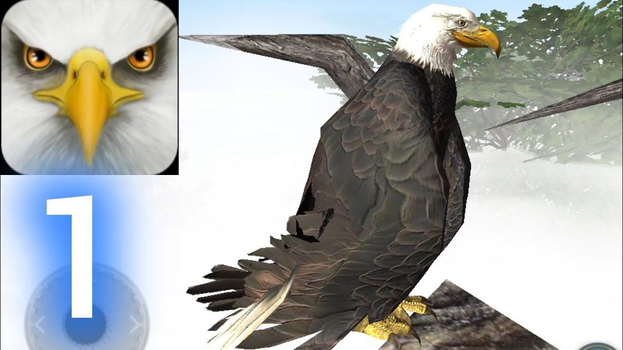 Ultimate Bird Simulator Gameplay | Eagle Survival Adventure Part 1 | ParmitVerse