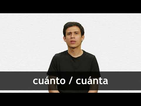 English Translation of “CUÁNTO” | Collins Spanish-English Dictionary