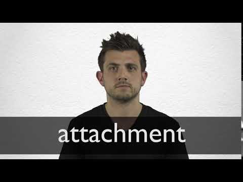 ATTACHMENT Synonyms | Collins English Thesaurus