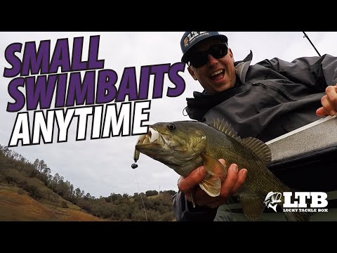 How To Fish Small Swimbaits: Lucky Tackle Box Tips