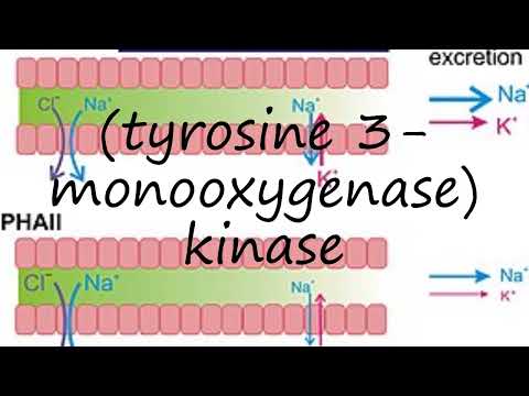 How to pronounce (tyrosine 3-monooxygenase) kinase?