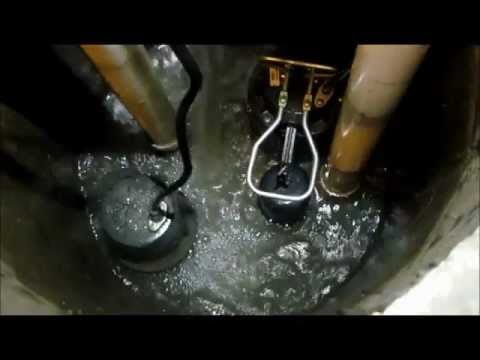 Basement Watchdog Special (Pro Series 1730) testing the pump, inside the unit, and quick review