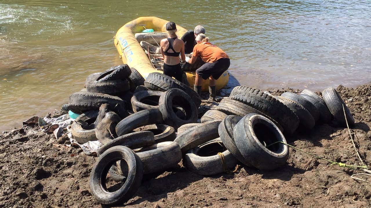 Environment Matters - New River Cleanup