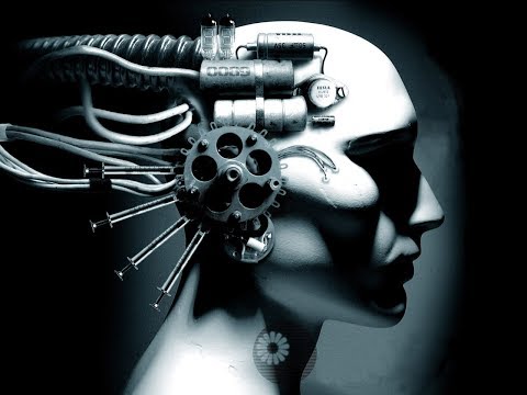 The Human Machine - a Manual to Master Your Brain