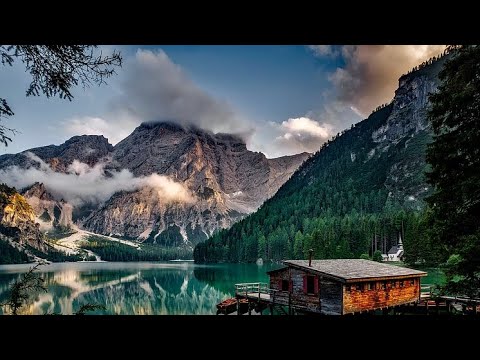 DEEP FOREST ALONG WITH RELAXING MUSIC/SLEEP/PEACE/STUDY | MUSIC VIBES AK