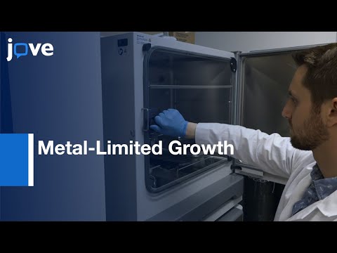 Metal-Limited Growth to characterize Genes and Metal acquisition | Protocol Preview