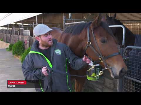 Racing.com on Banana Feeds Australia and B-Complete