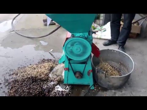 Coffee Huller at Best Price in India