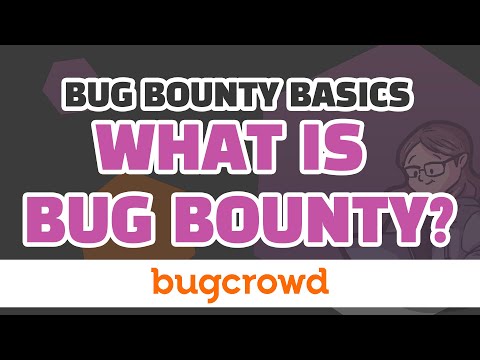 What is bug bounty?