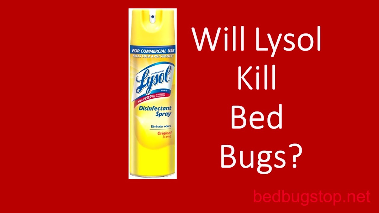 Do Lysol kill bed bugs | Will Lysol kill bed bugs
