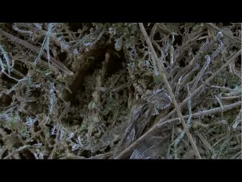 Sugar Ridge Fish and Wildlife Area | Indiana DNR