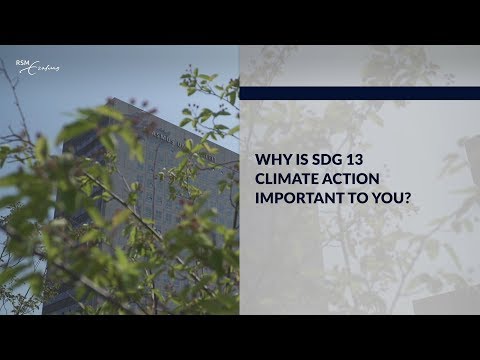 Why is SDG 13 important to you?