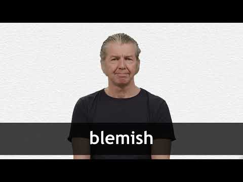 BLEMISH definition in American English | Collins English Dictionary