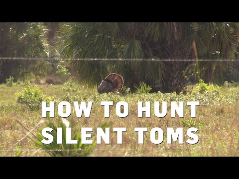 Turkey Calling Tips, Lesson 5: How to Hunt Silent Toms