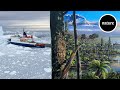 Findings Show Antarctica Was Rainforest 90 Million Years Ago - Nerdist