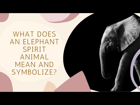 What Does an Elephant Spirit Animal Mean and Symbolize?