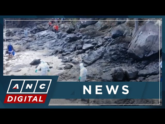 Oil Spill at Oriental Mindoro, Philippine: Causes, Consequences, and ...