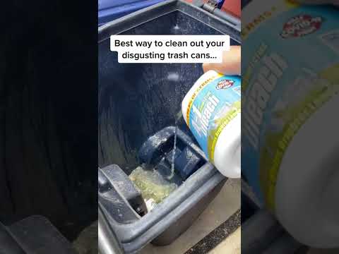 How to clean gross trash can