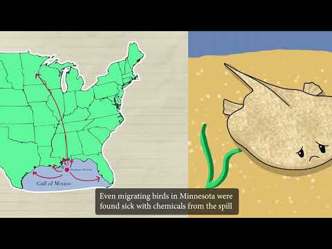 What is Point Source Pollution