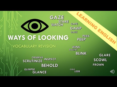 ENGLISHWISE 365. To look at + synonyms