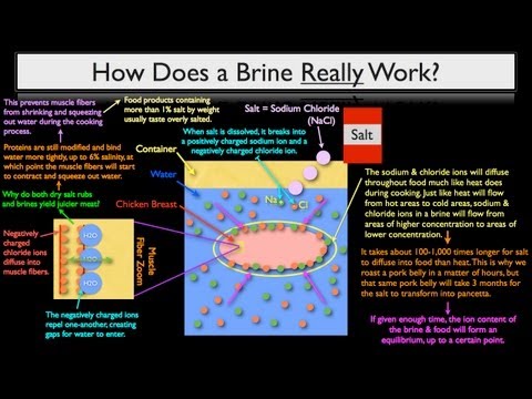 Understanding The Brining Process & Stratagies - Part 2 of 4