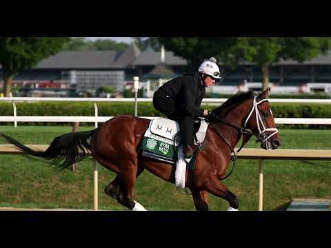 2025 Belmont Stakes Race Preakness Stakes Champ Journalism vs Kentucky Derby Winner Sovereignty