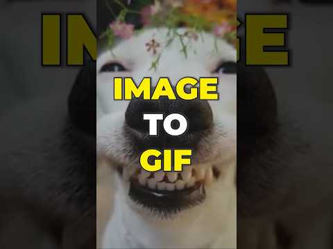 Image to GIF | Convert images to GIFs easily, in your web browser