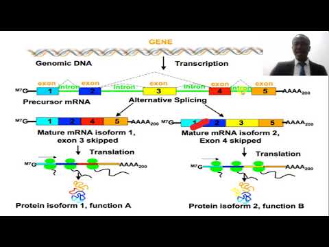 WHAT IS ALTERNATIVE SPLICING, ALTERNATIVE SPLICING PROCESS