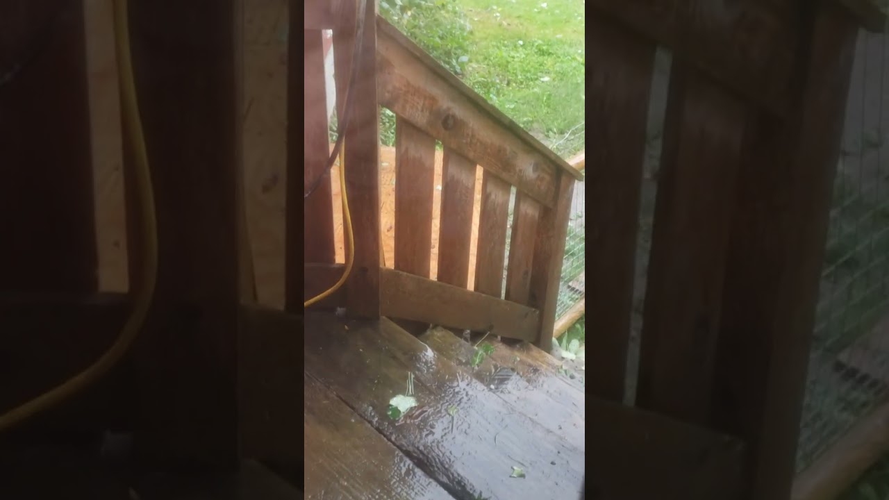 Hurricane log.      (Hurricane Lee.)