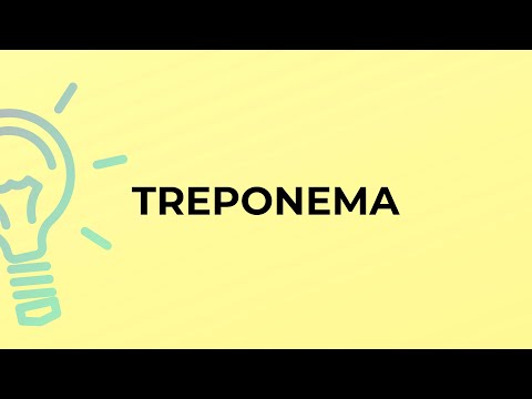 What is the meaning of the word TREPONEMA?