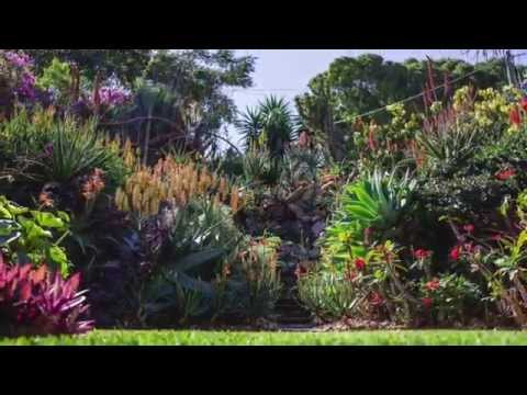 Taringa House Garden of Colourful Aloes