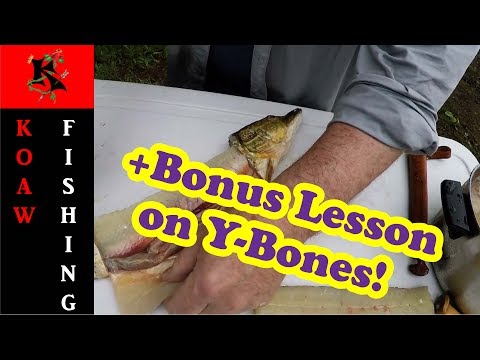 Can You Eat Muskie Fish? Are They Good To Eat? Find Out