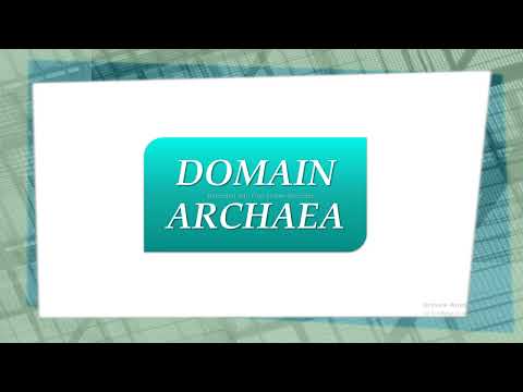 Domain Archaea & Eubacteria And Their Differences