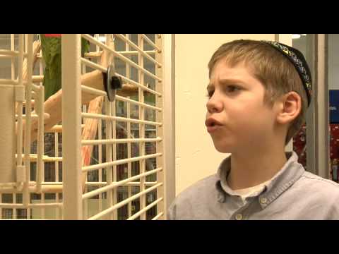Agent Emes and the Shavuos Trial: teaser scene