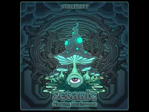 03 Setanic - Awake in their Vision