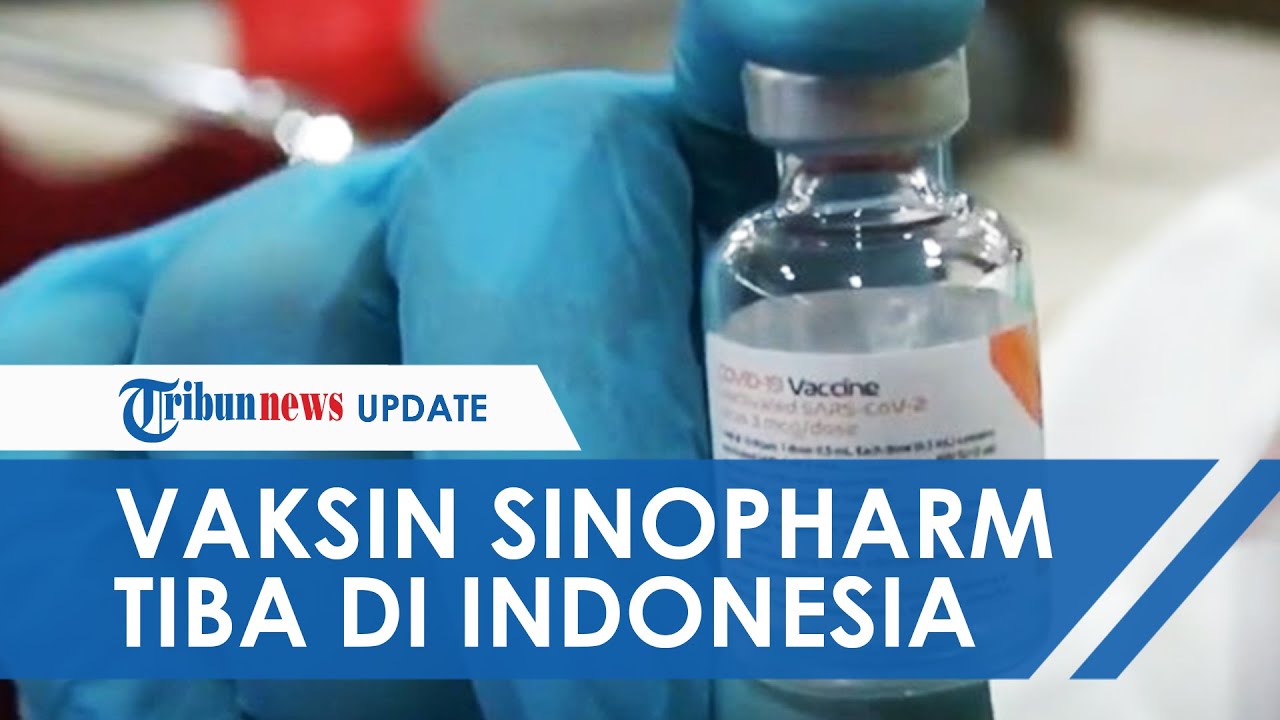 Seusai BPOM Keluarkan Izin EUA, Vaksin Sinopharm Tiba di Indonesia untuk Vaksinasi Gotong Royong